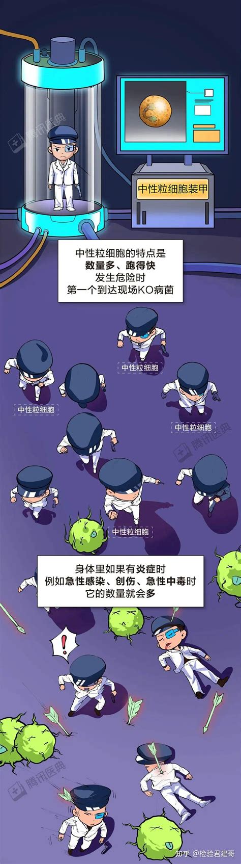血常规报告单，一张图全读懂（建议收藏） 知乎