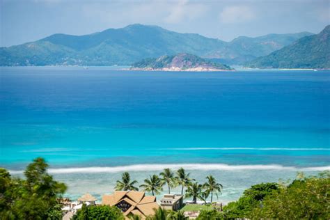 Flufy Bilder Bläddra Bland 207 Stockfoton Vektorer Och Videor Adobe Stock