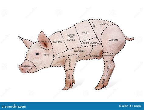 Pork Cut Chart Poster In French Stock Images Image 9332114