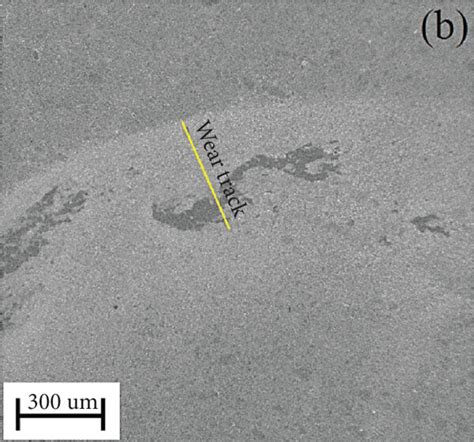 The Sem Micrographs Of A Ti Substrate B B C B1 D B2 And E