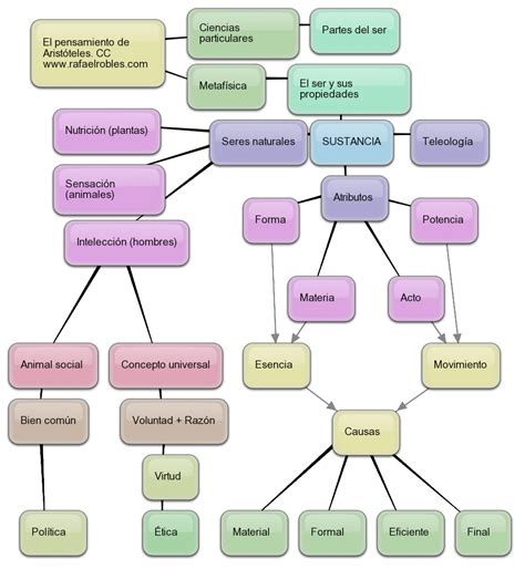 Aristoteles Mapa Mental Mapas Mentais Aristoteles Images Porn Sex Picture
