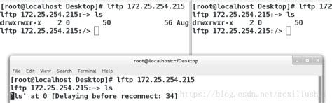 linux系统中的ftp服务 moxiliushui的博客 csdn博客 linux中ftp服务进程名为