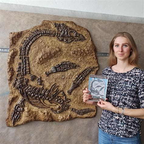 Plesiosaurus Macrocephalus Fossil Replica Museum Quality Wall Art