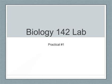 Annelida General Characters And Classification Pptx Biological Sciences Science
