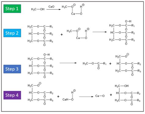 Catalytic Properties And Structural Optimization Of Solid