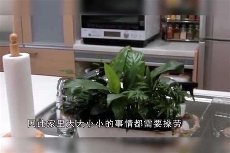 日本人脑洞大开发明人妻椅可解决已婚女性大难题涨知识 人妻 女性 难题