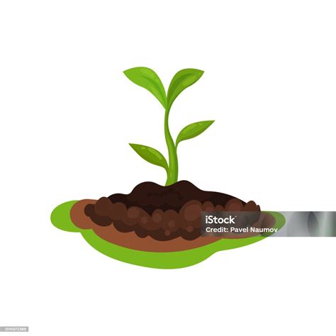 小葉子從地上發芽的幼綠色植物的扁平向量圖示園藝與栽培主題向量圖形及更多剪裁圖圖片 剪裁圖 卡通 大自然 Istock