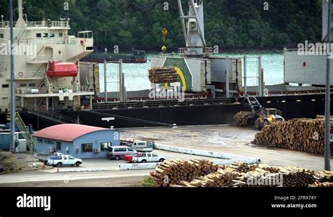 Cargo Vessel Loading Timber Stock Videos And Footage Hd And 4k Video