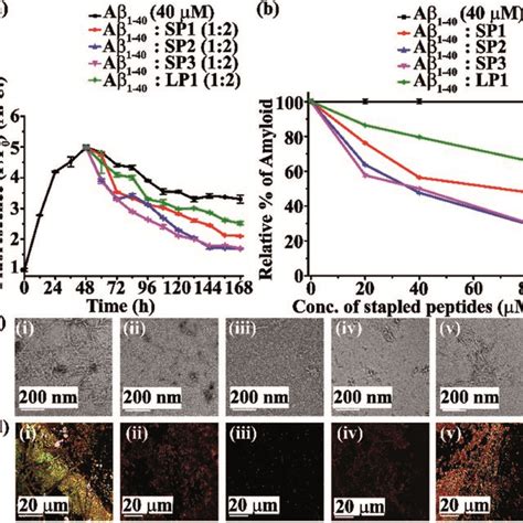 A Time Dependent Tht Fluorescence Assay Results Of Aβ1 40 40 μm In Download Scientific