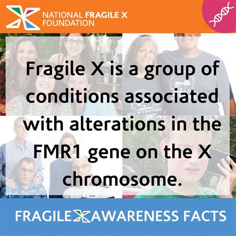 National Fragile X Foundation On Linkedin Fragilex Fragilexsyndrome Fragilexawareness