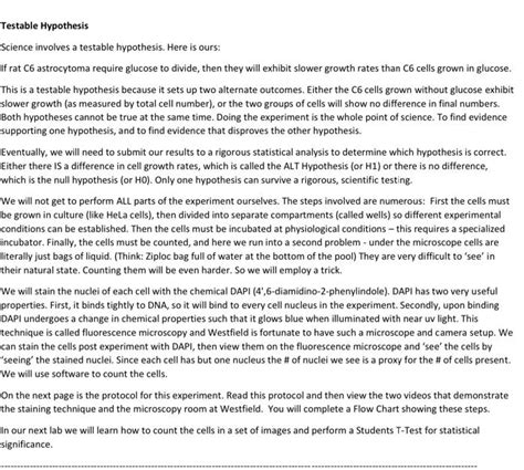 Post Lab Assignment Cancer Cell Proliferation