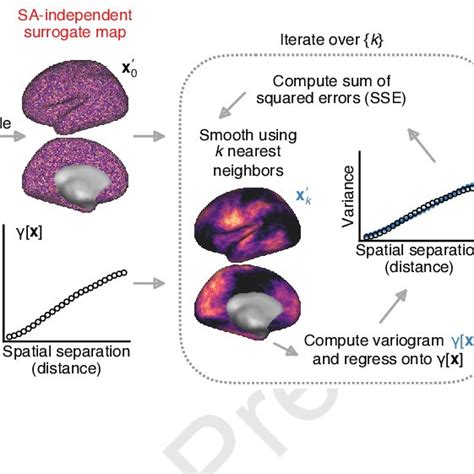 Generating Sa Preserving Surrogate Maps A Dense Or Parcellated Target