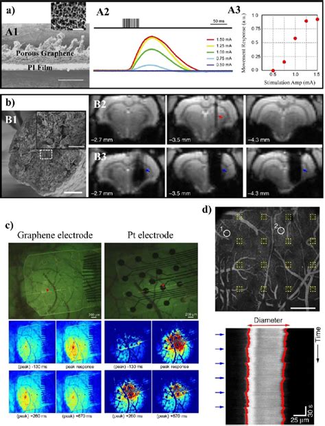 Graphene Based Electrodes Interfacing The Cns A In Vivo Stimulation