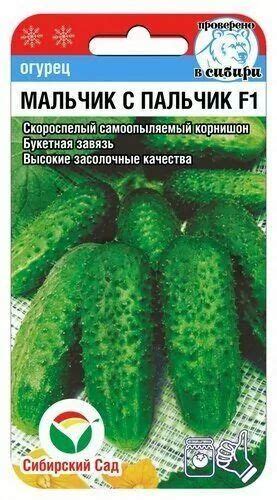 Сибирский сад огурцов - купить по выгодным ценам в интернет-магазине ...
