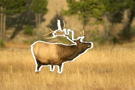 Incorporating Topological Constraints Within Interactive Segmentation And Contour Completion Via