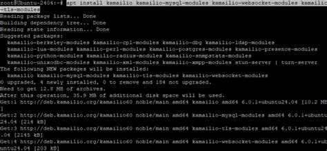 How To Install Kamailio Sip Server On Ubuntu 2404 Shapehost
