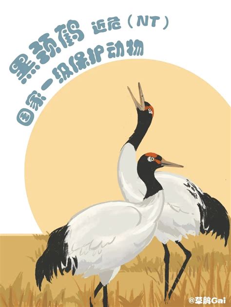 第一昆山