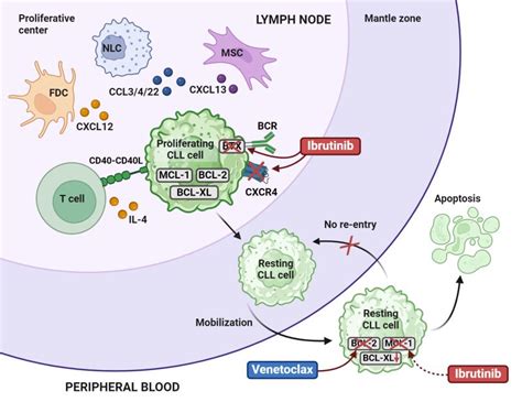 Lymphoma Hub On Linkedin Cll Mednews Meded