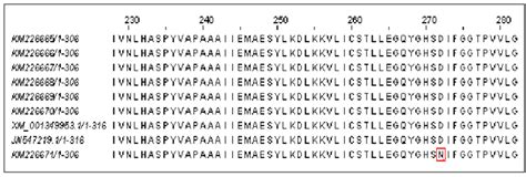 Amino Acid Sequence Alignment Of Pf Ldh Among P Falciparum Isolates