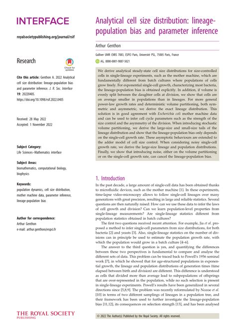 Analytical Cell Size Distribution Lineage Population Bias And