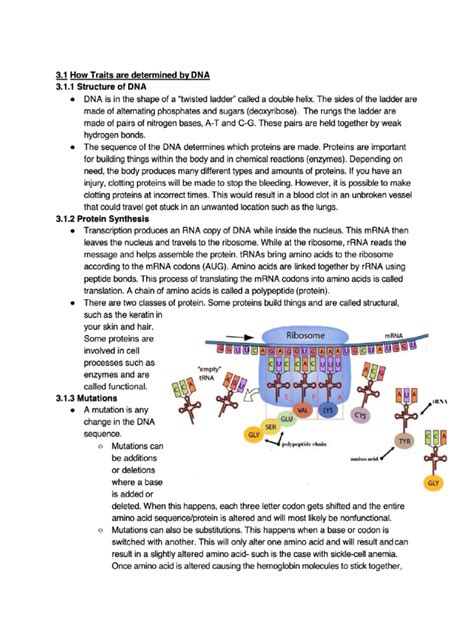 Biology Chapter 3 Study Guide Pdf