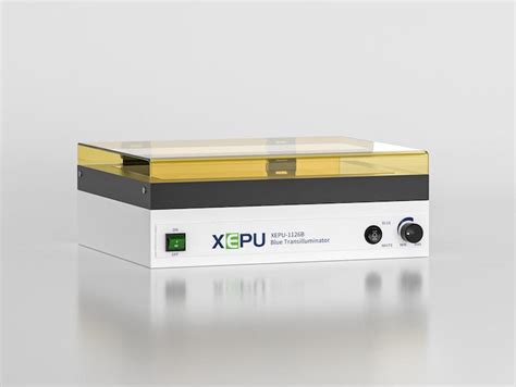 Visualize Sybr Green Stained Dna Using Blue Light Transilluminator Xepu