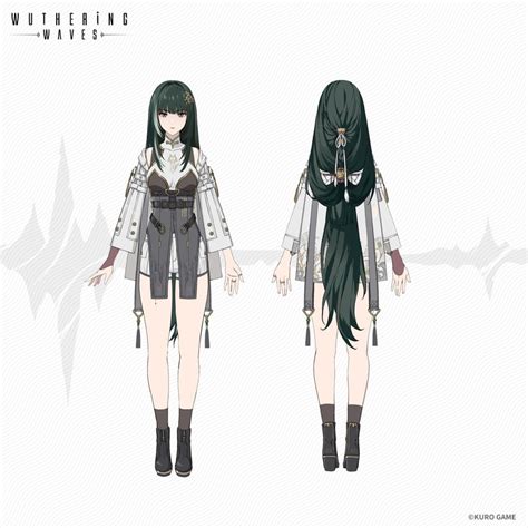 Bailian Wuthering Waves Danbooru