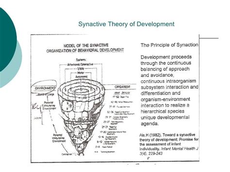 Developmental Care Lecture April 2008