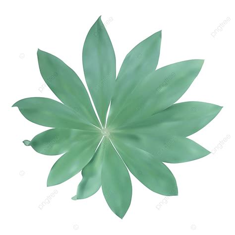 孤立在白色背景上的綠葉 有機的 和風裝飾 矢量向量向量圖案素材免費下載，png，eps和ai素材下載 Pngtree