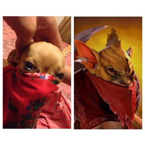 Perfect Cosplay Doesnt Exi Rdota2
