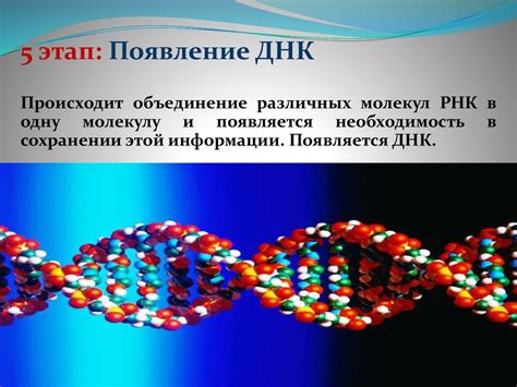 Теории возникновения жизни на Земле презентация онлайн