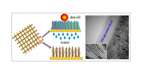 Multifunctional Polydopamine Modified Cuo Nanowire Haired Membranes For Efficient Oilwater
