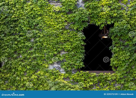 The Window Opening Is Reinforced With An Iron Corner And Fittings
