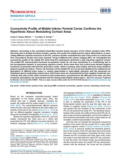 Pdf Connectivity Profile Of Middle Inferior Parietal Cortex Confirms The Hypothesis About