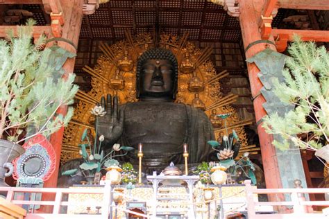 【東大寺の俳句 20選】修学旅行の思い出季語春夏秋冬を含む学生向け俳句例集を紹介！ 俳句の教科書｜俳句の作り方・有名俳句の解説サイト