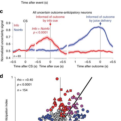 Prevalence Of Information Anticipatory Activity In The Cortico Basal