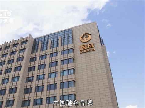 魅力中国栏目 国珍企业宣传片 梵曲配音梵曲配音 站酷zcool