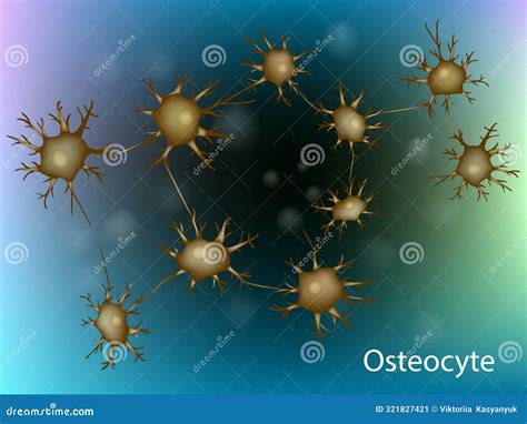 Osteocyte Cartoon Vector 321356543