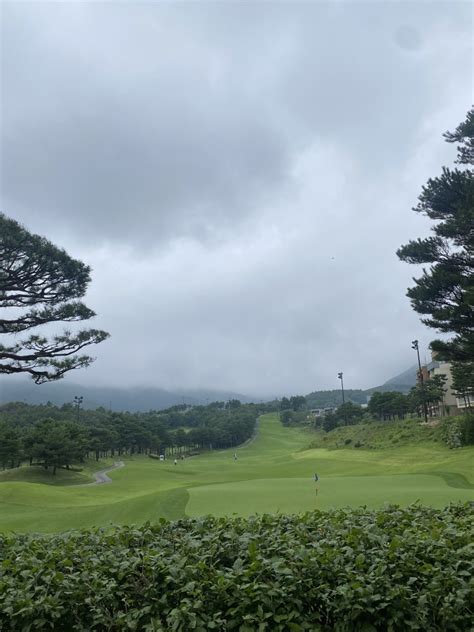 골린이 골프장 리뷰속초 소노펠리체 델피노cc 여름휴가는 델피노cc에서 라운딩 하며 보내기 델피노cc에서 꼭 먹어야 하는