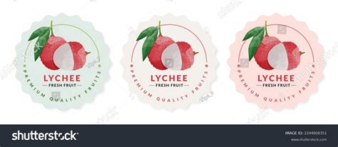 Lychee Packaging Design Templates Watercolour Style Stock Vector
