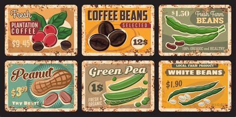 Broad Bean Shelled Over 10 Royalty Free Licensable Stock Illustrations