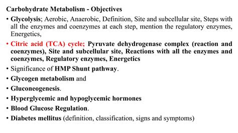 Pdh Complex And Tca Cycle Krebs Cycle Citric Acid Cycle Pdf