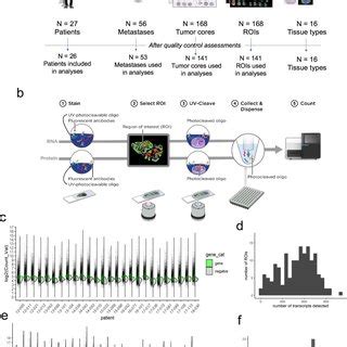 Digital Spatial Profiling Of Archived Formalin Fixed Paraffin Embedded Download Scientific