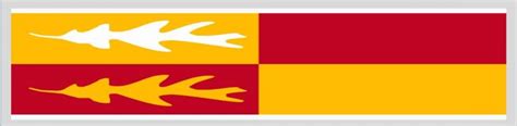 History Of The Official Bernards Township Flag Mr Local History Project