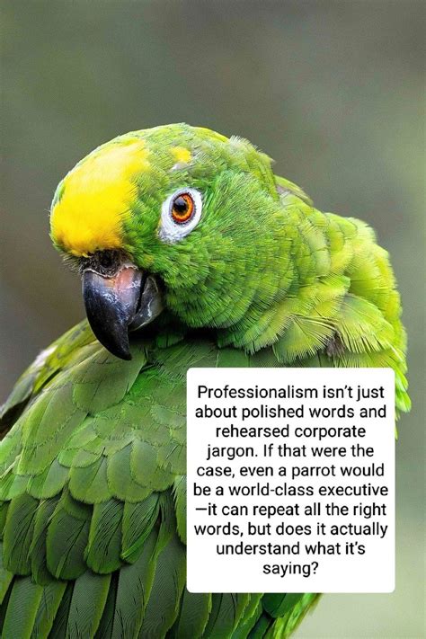 Shubham Chakraborty On Linkedin Workculture Hiringpractices
