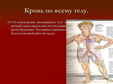 Презентация на тему КРОВООБРАЩЕНИЕ КРОВООБРАЩЕНИЕ Красное вещество
