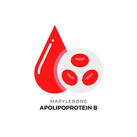 Apolipoprotein B Marylebone Diagnostic Centre