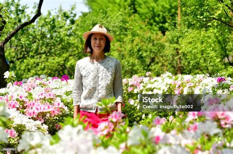 만개에서 진달래 꽃과 함께 공원에서 산책 하는 일본 여자 4월에 대한 스톡 사진 및 기타 이미지 4월 50 59세 5월