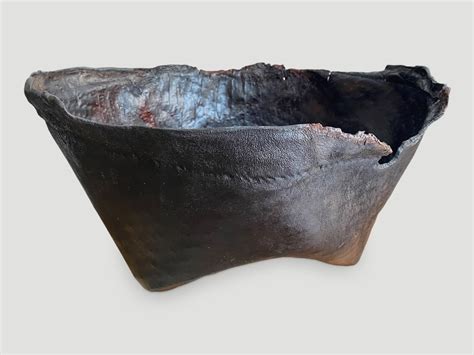 Polished Buffalo Hide Container 9gt Andrianna Shamaris