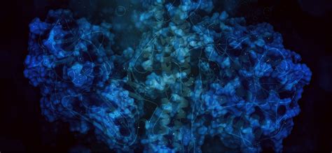 A Closer Look At Types Of Cloning Vectors From Plasmids To Cosmids BACs YACs And Beyond GoldBio